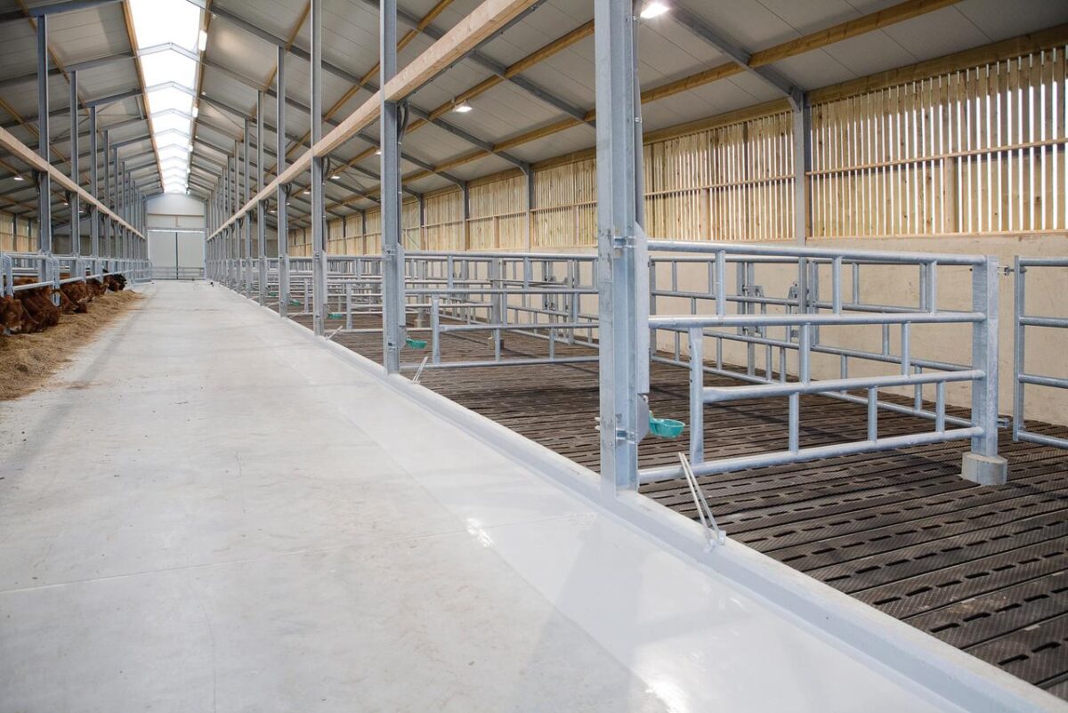 Gummi-Auflagesystem für Suding-Rinderspaltenboden – Suding Gruppe